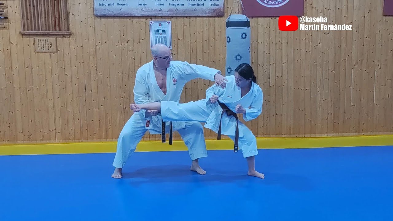 2023 How to IMPROVE your YOKO GERI Kekomi - YouTube