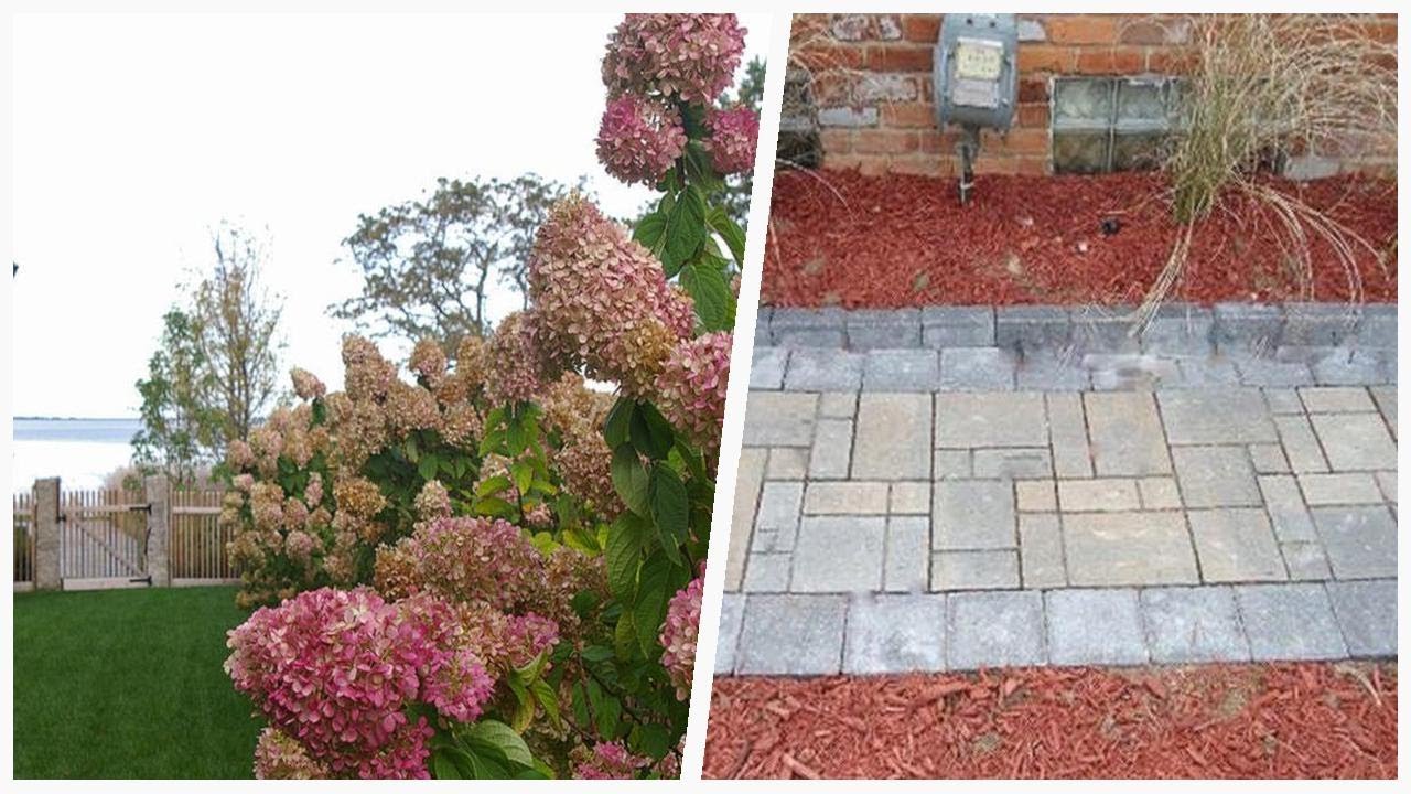 75 Red Side Yard Landscaping Design Ideas You'll Love 😊 - YouTube