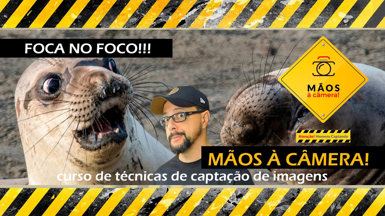 Foca no foco! Aprenda como fazer o foco na sua câmera! - YouTube