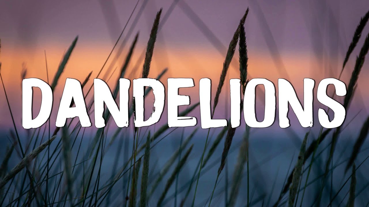 Dandelions - Ruth B. (Lyrics) || Shawn Mendes, Calvin Harris, Dua Lipa ...