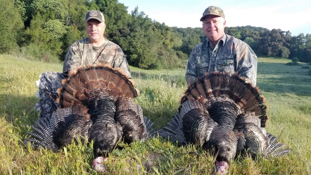 Double Down - Turkey Hunting with Oak Stone Outfitters - YouTube