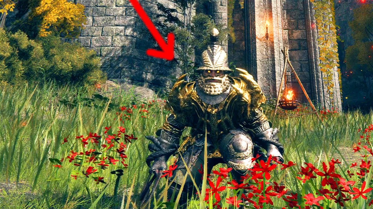 Smithscript Cirque Showcase - New Elden Ring DLC Shadow of the Erdtree ...