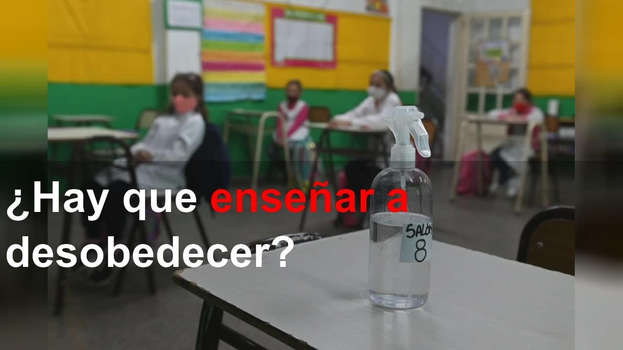 ¿Hay que enseñar a desobedecer? - YouTube