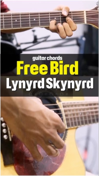 Free Bird - Lynyrd Skynyrd | Guitar Intro Riff/Chords #freebird #lynyrdskynyrd #guitar #chords # ...