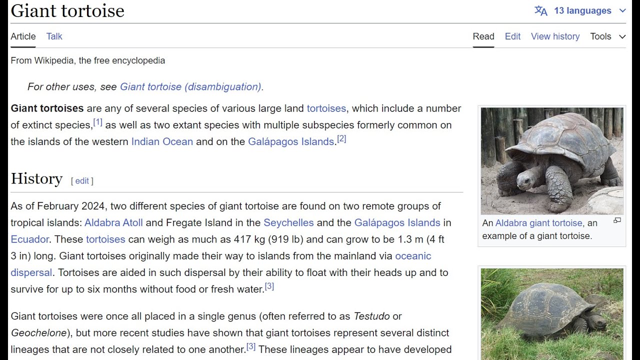 I fought the giant turtle for an hour in FFXV - YouTube