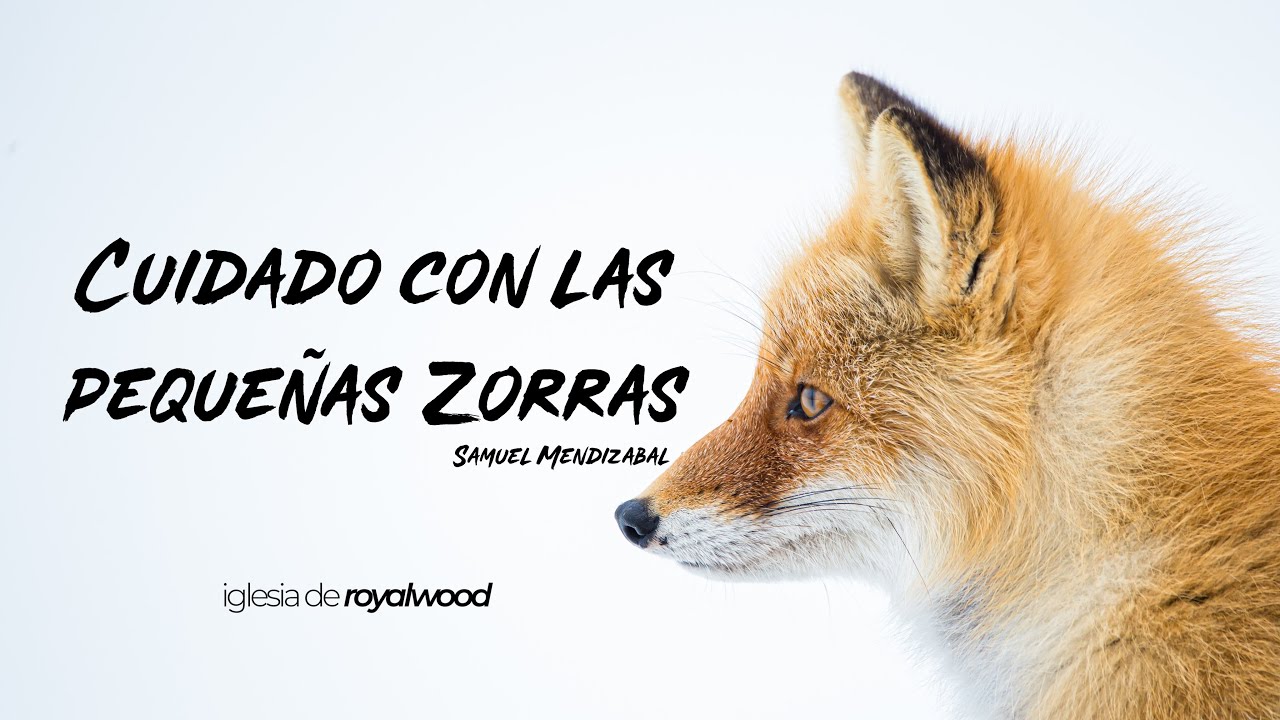 Cuidado con las Pequenas Zorras | Samuel Mendizabal - YouTube