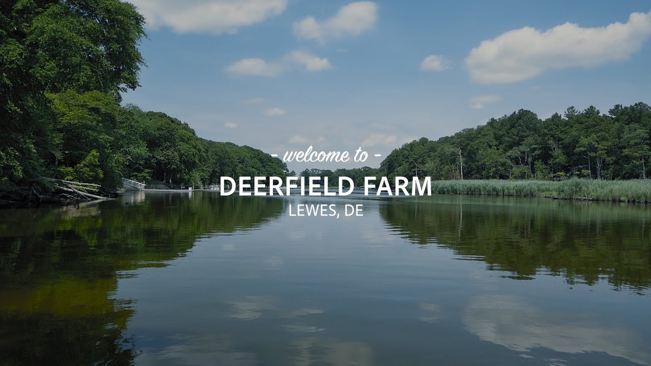 Welcome to Deerfield Farm - YouTube