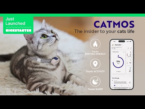 Now on Kickstarter: Catmos - The Smart Cat Collar - YouTube