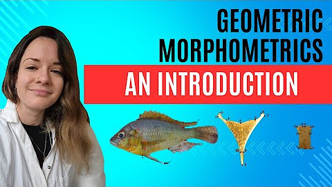 Intro to Geometric Morphometrics - YouTube