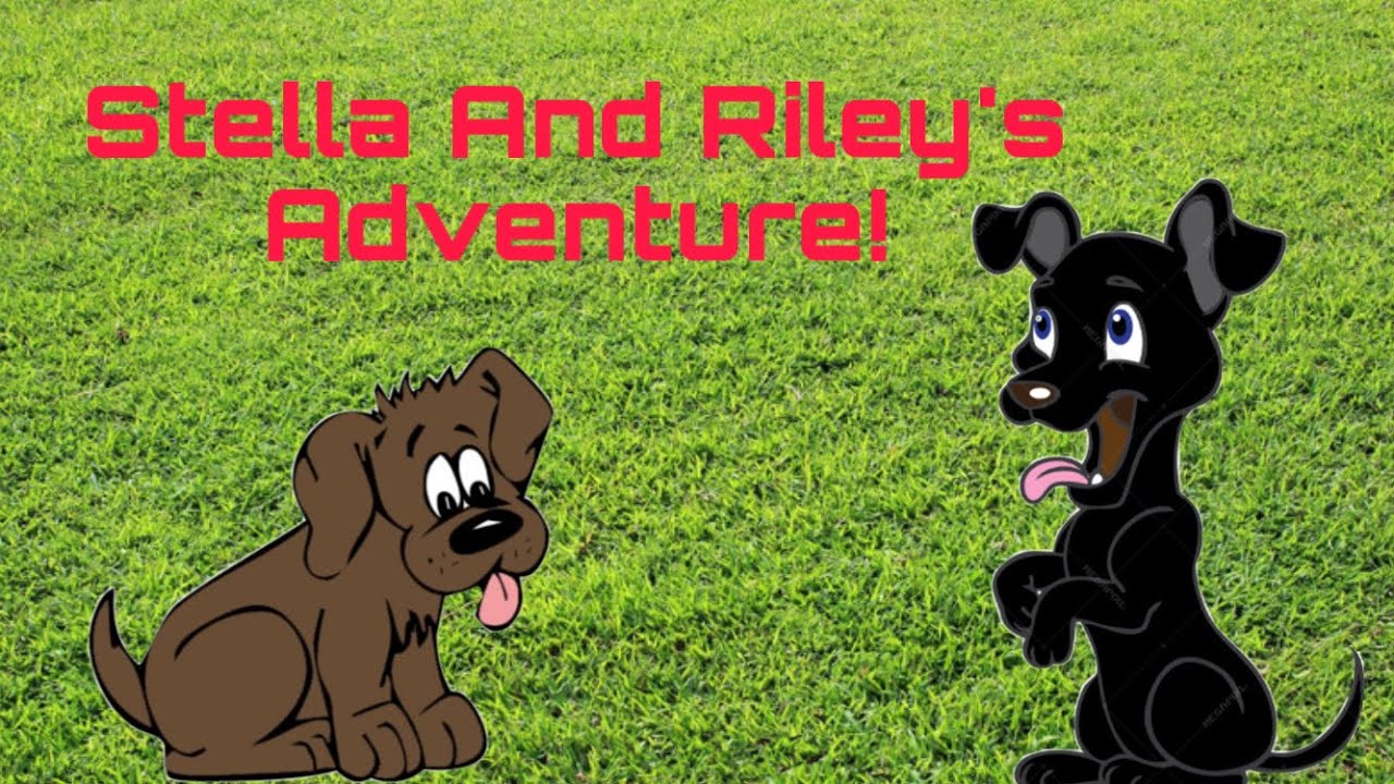 The Adventures Of Stella The Dog And Her Friend Riley! - YouTube