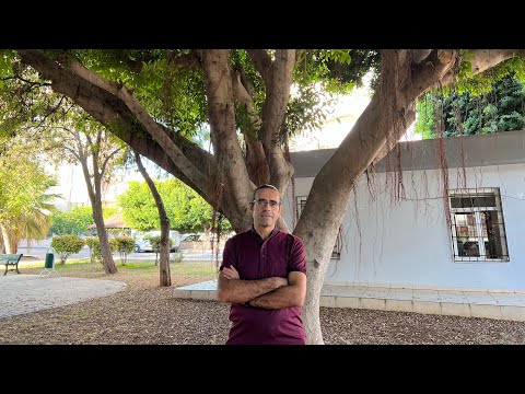 Bu ağaç havai kök yapıyor!!! (Ficus Microcarpa)