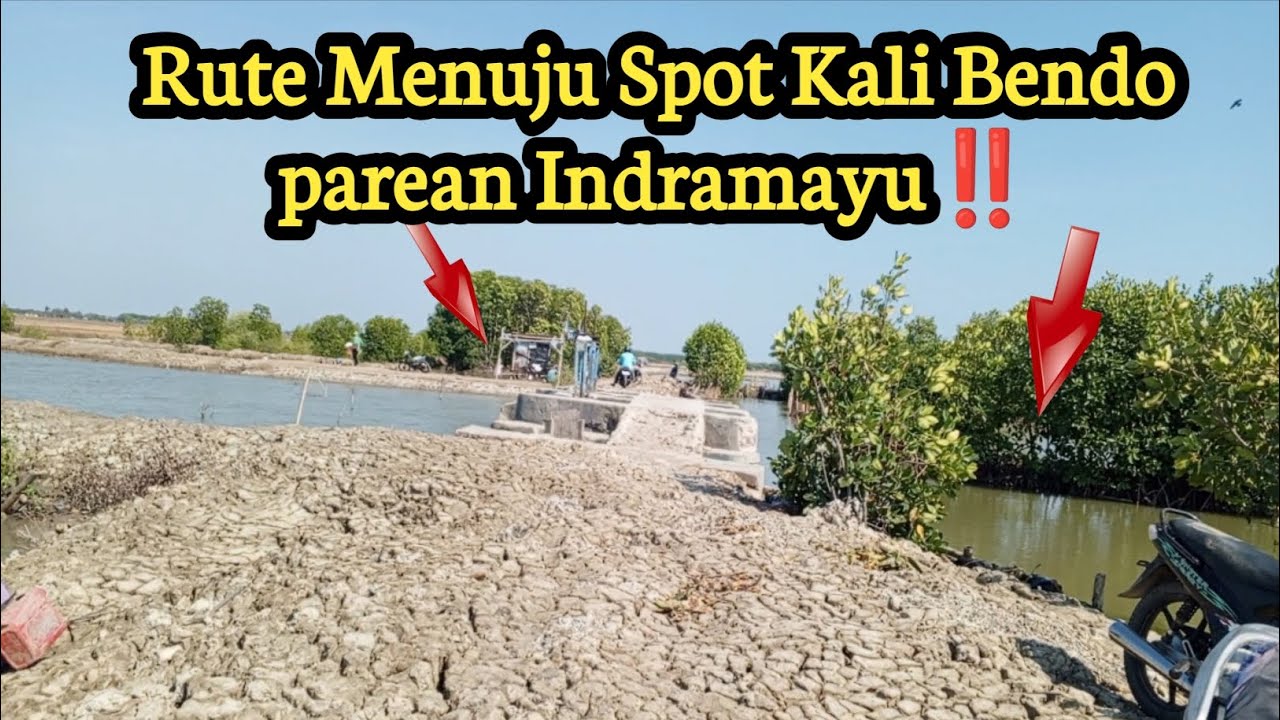 Rute spot kali bendo parean indramayu||Mancing Belanak Babon - YouTube