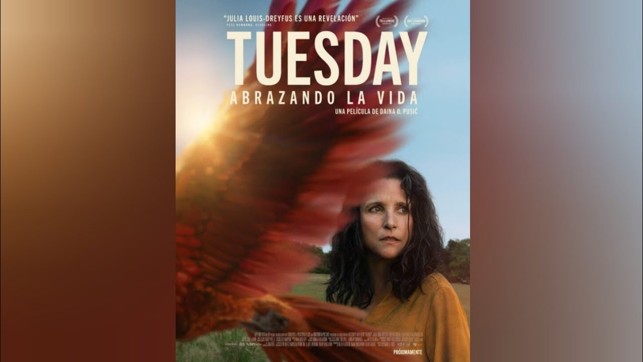 VIDEO CRÍTICA TUESDAY - YouTube