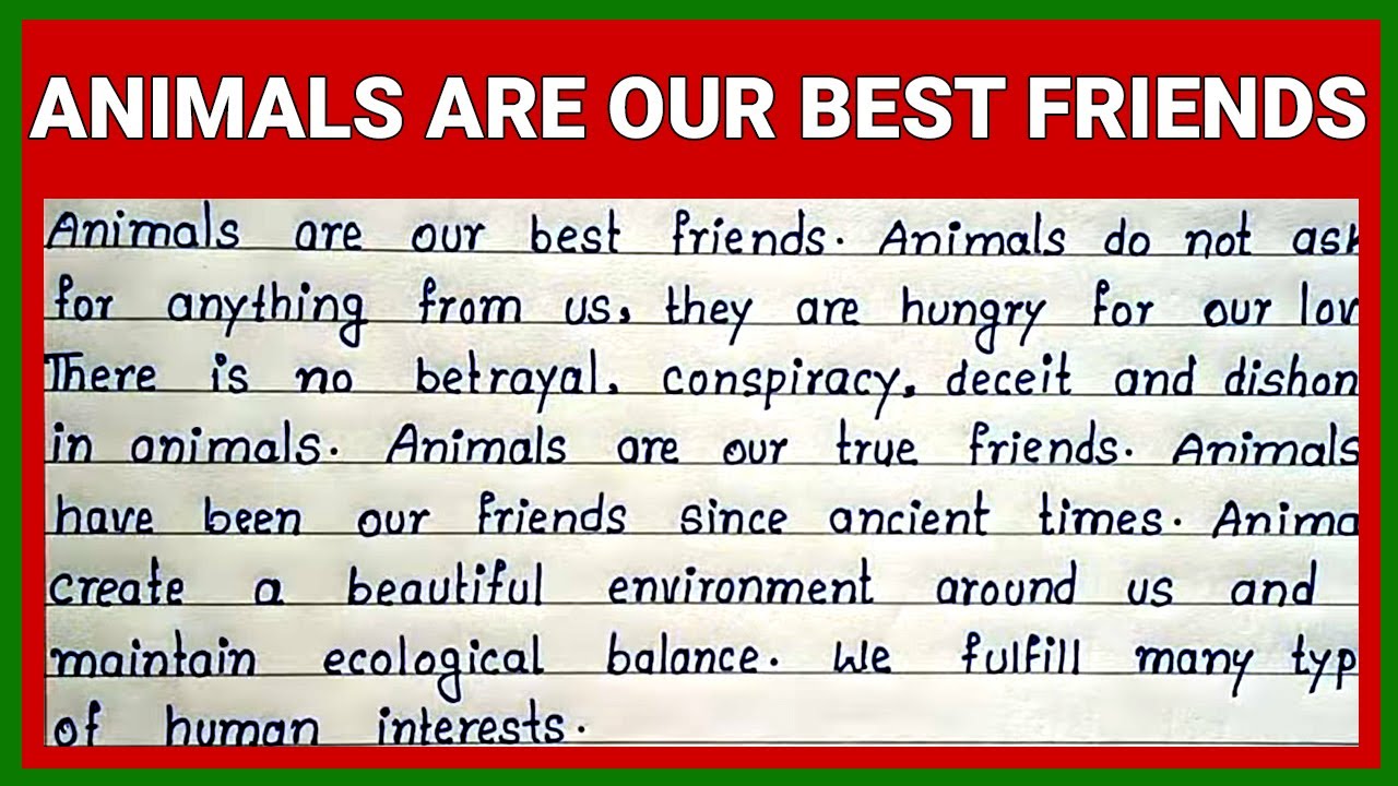 Animals are our best friends English essay | English Essay on Animals ...