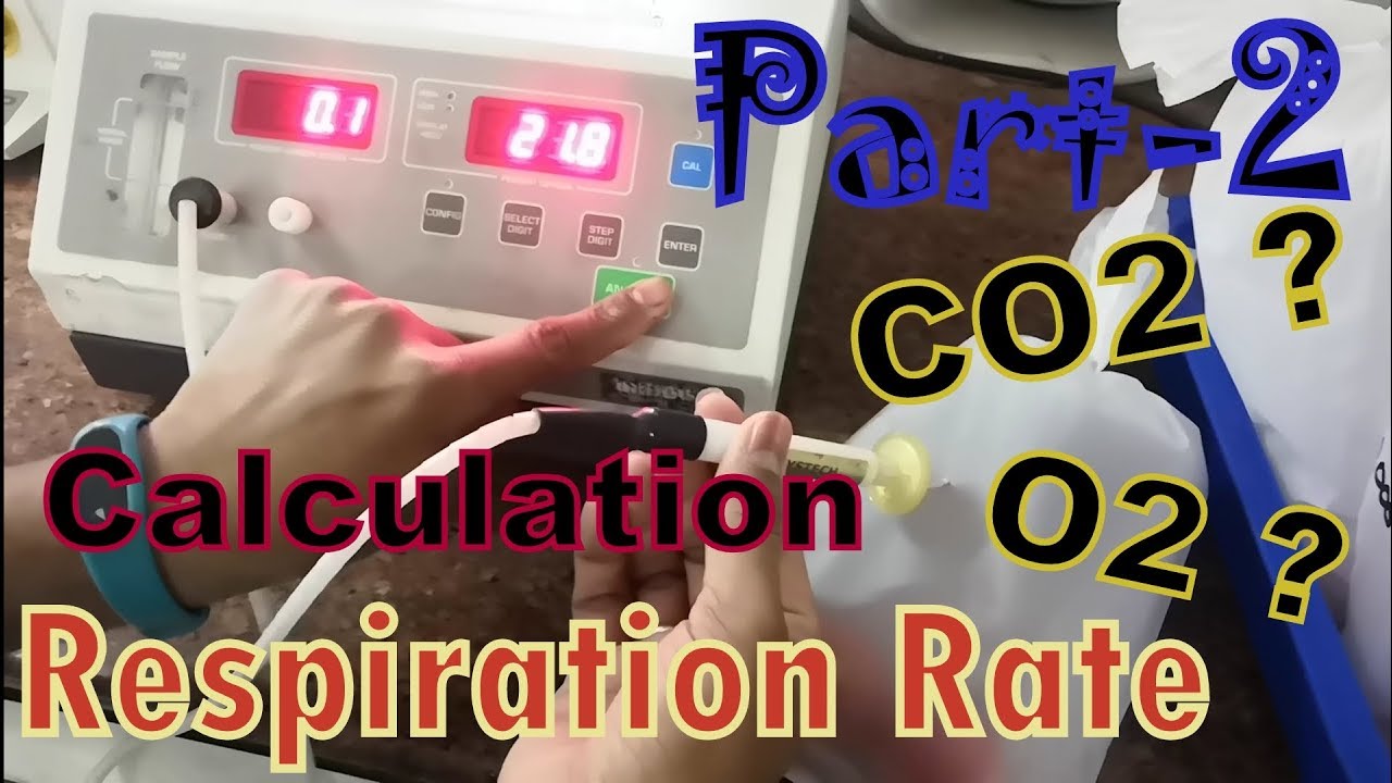 Respiration Rate Calculation By - Head Space Gas Analyzer / Part-2 / AA ...