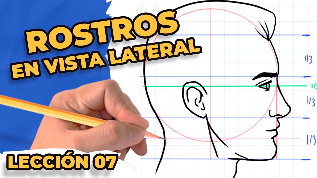 Dibujo De Vista Lateral De Una Persona