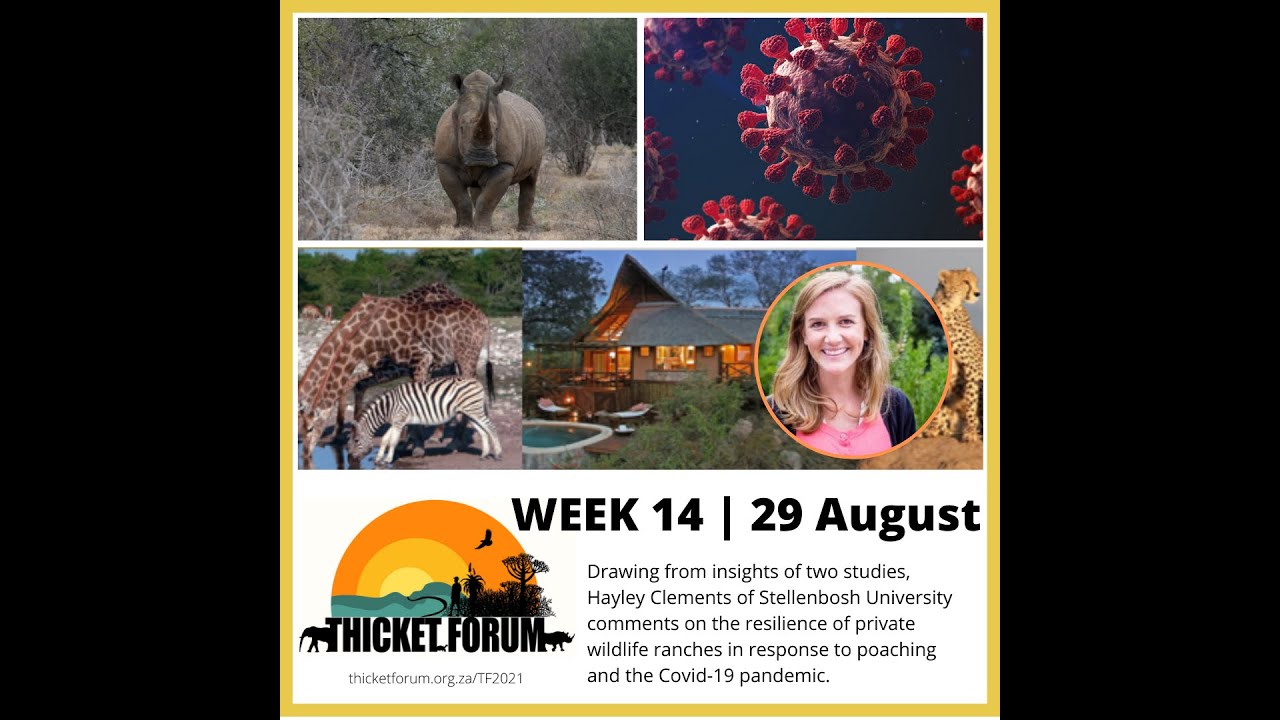 #14: Hayley Clements (2021) - Poaching and a pandemic: the resilience ...