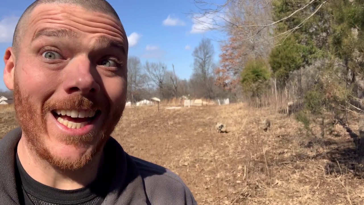 Welcome to our homestead - tour, walk-around and introduction - YouTube
