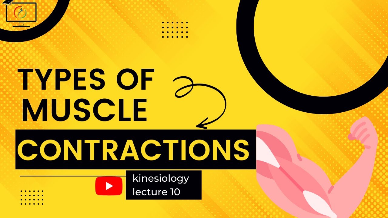 What are The Types of Muscle Contractions? | Kinesiology - YouTube