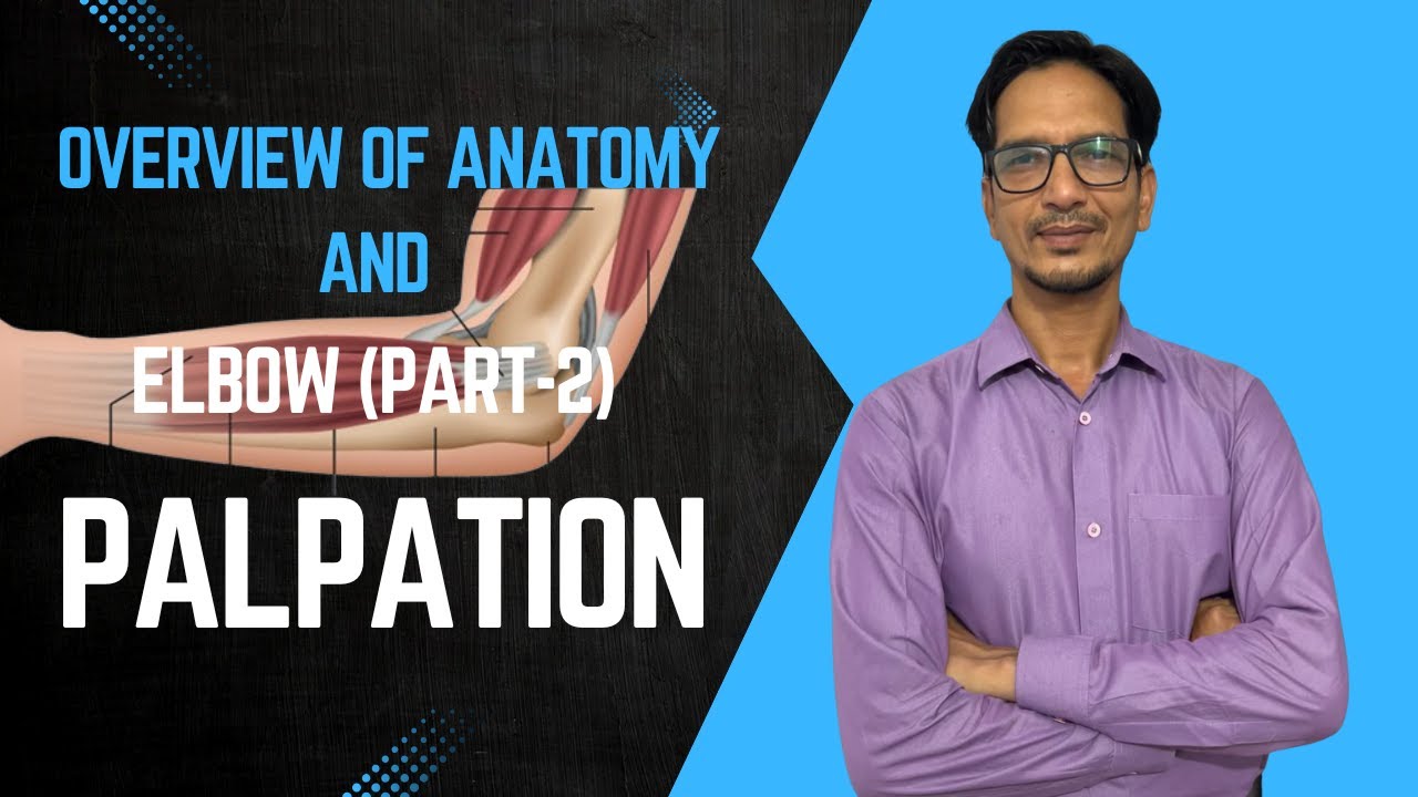 Elbow Joint Palpation | Anatomy Landmarks - YouTube
