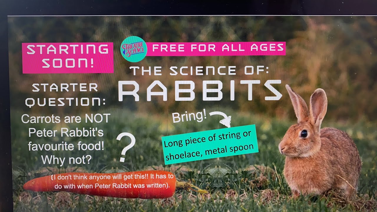 Science Show: Rabbits! - YouTube