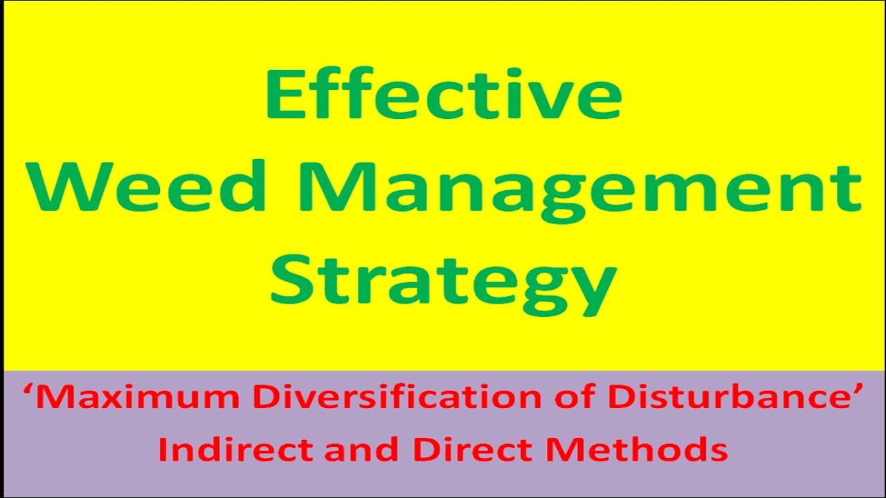 Effective Weed Management Strategy - YouTube
