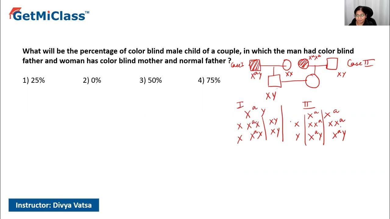 Genetics of Color Blindness Explained NEET 12th Biology Principle of ...