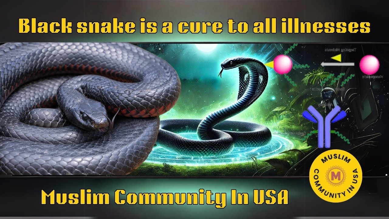 Black snake is a cure to all illnesses | Muslim Community In USA - YouTube