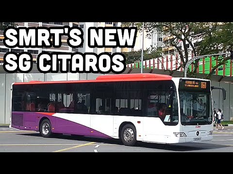 SMRT's Newest Mercedes Benz Citaro O530 - YouTube