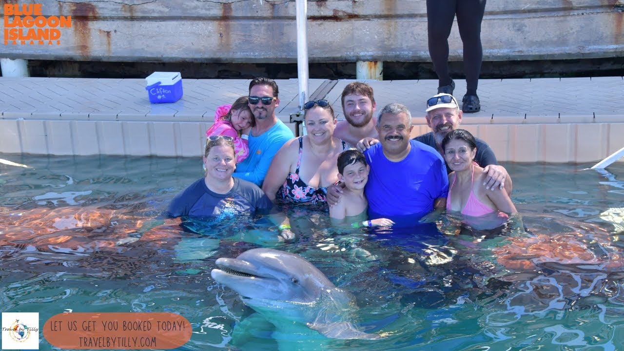 Blue Lagoon Island Bahamas: Dolphin Experience - YouTube