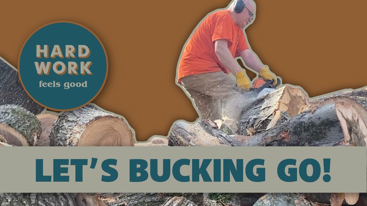 Let’s Bucking Go! Conquering Logs with a Chainsaw to Make Firewood ...