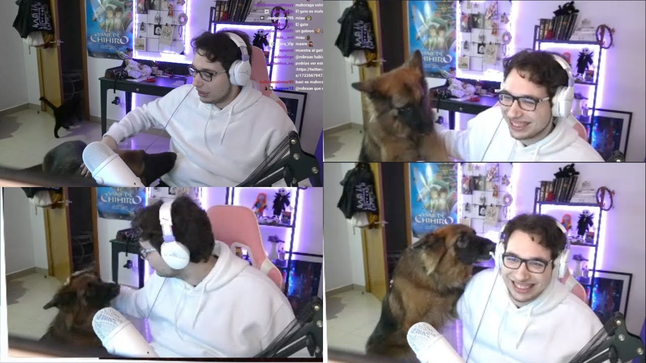 Simplemente Darkrai acariciando un perro - YouTube