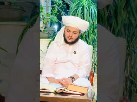 Pir Muhammad Umer Naqshbandi - Ganj e Inayat Kabotar Pura Shareef - YouTube