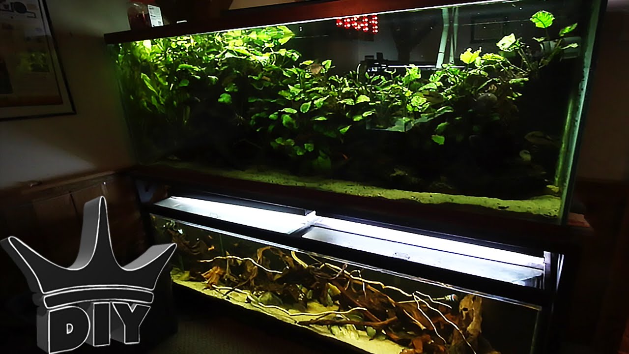 The frankenstein fish room tour! - YouTube