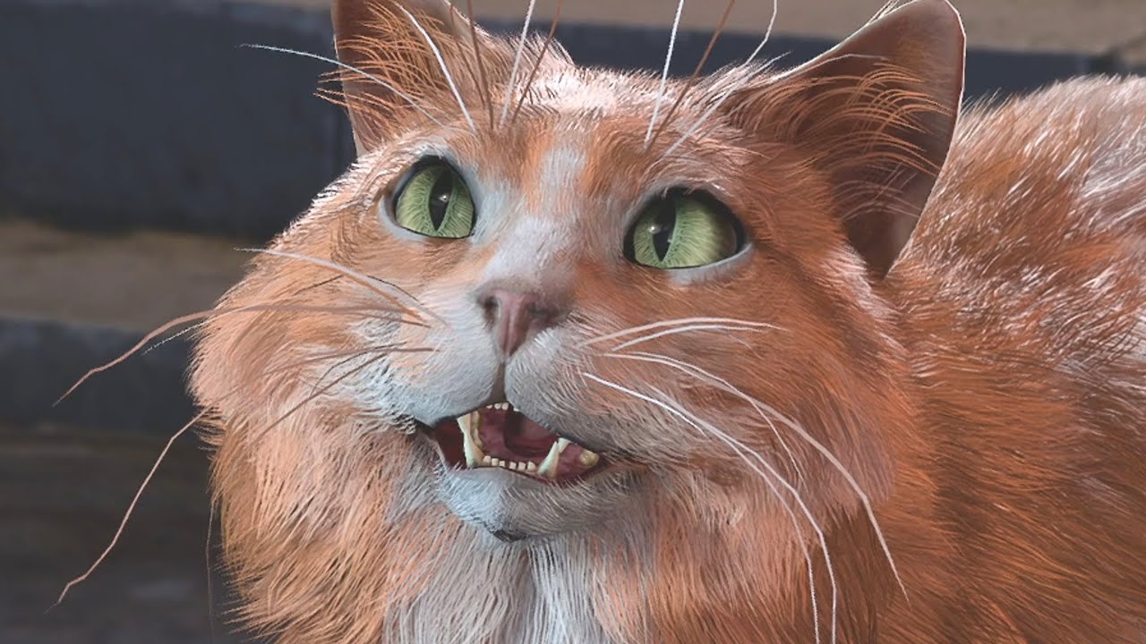 Baldur's Gate 3 - Malta - Heroes for Justice - Secret Cat Quest - Speak ...
