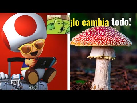 las drogas y su clasificación // la 🐀 con thinner - YouTube