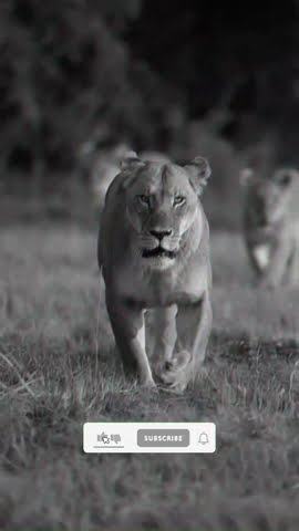 No one believes in me, that's their problem not mine!! best ...