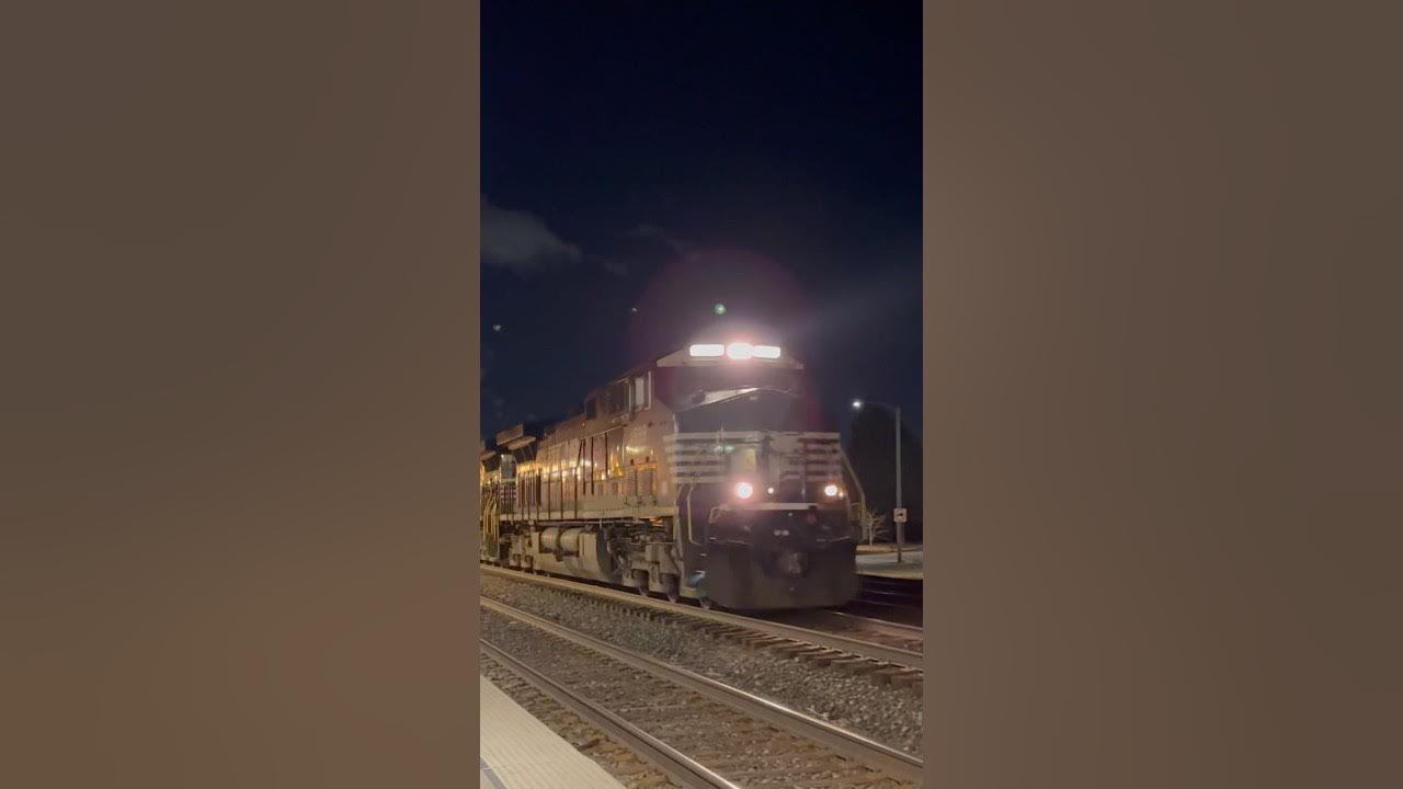 NS 4599 rolls a intermodal past Hammond Whiting IN - YouTube