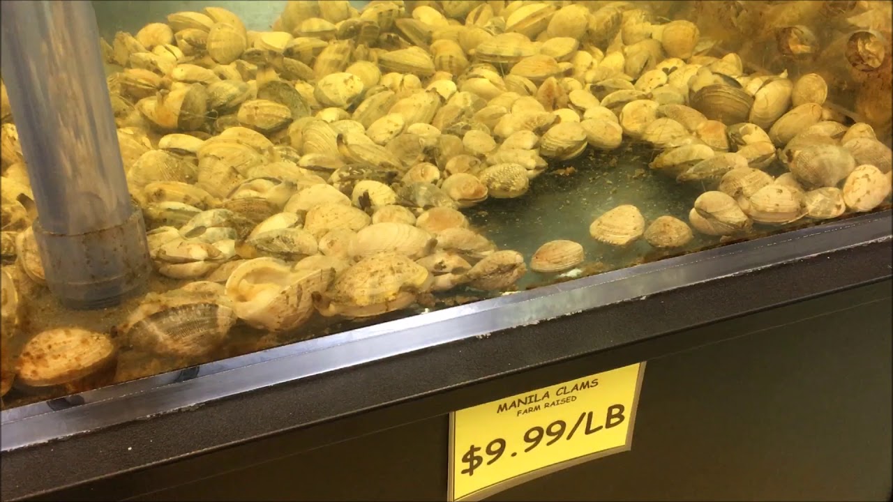 New Sagaya City Market - Lobsters/Clams/Oysters - Anchorage Alaska ...