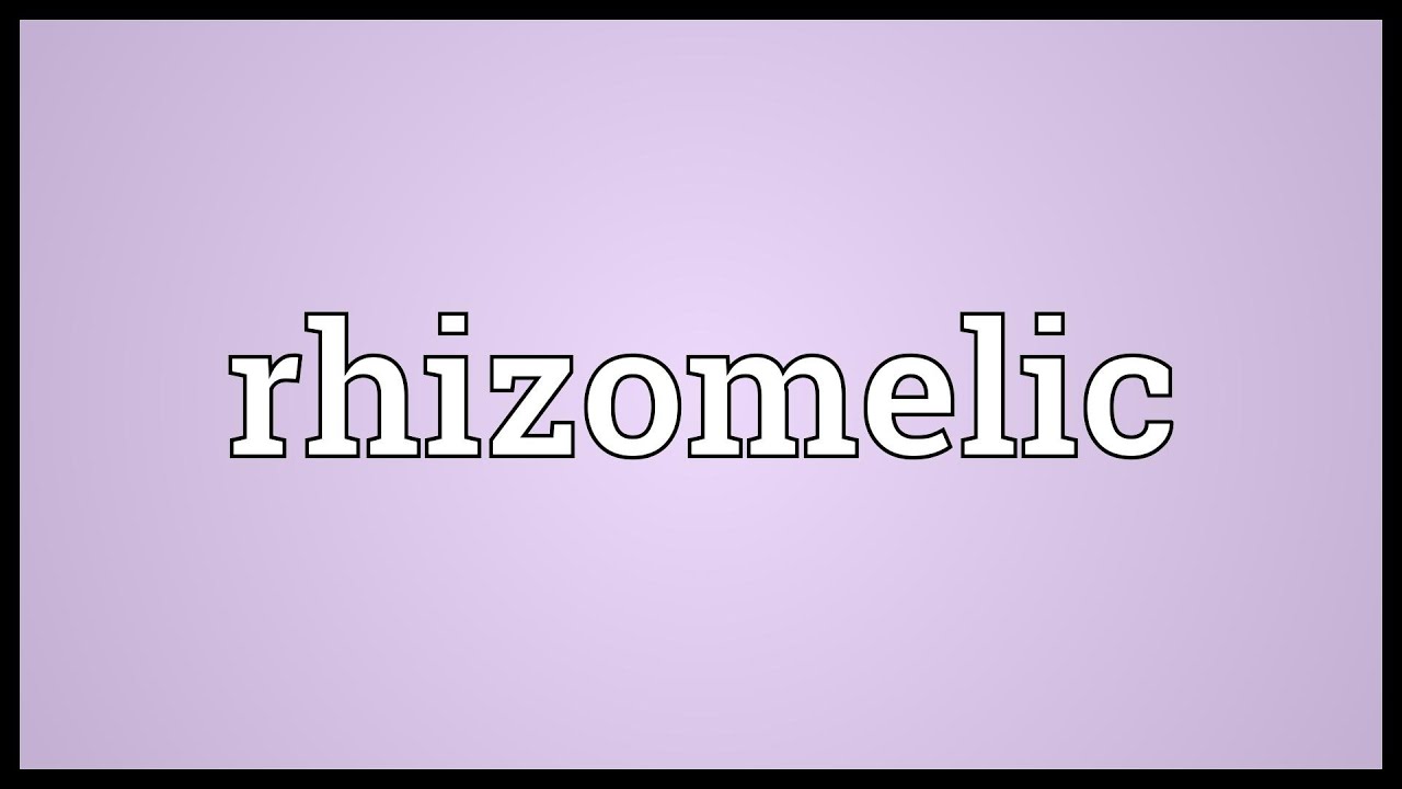 Rhizomelic Meaning - YouTube