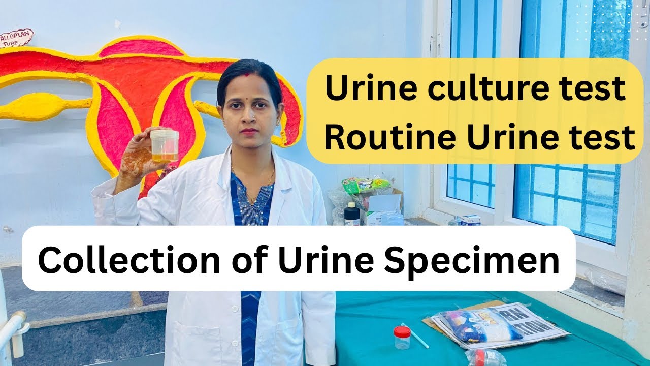 Urine Test / Mid Stream Specimen/ Collection of specimen / Urine ...