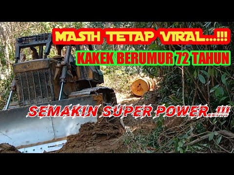 KAKEK BERUMUR 72 TAHUN MASIH TETAP BERSEMANGAT // PENARIKAN KAYU ...