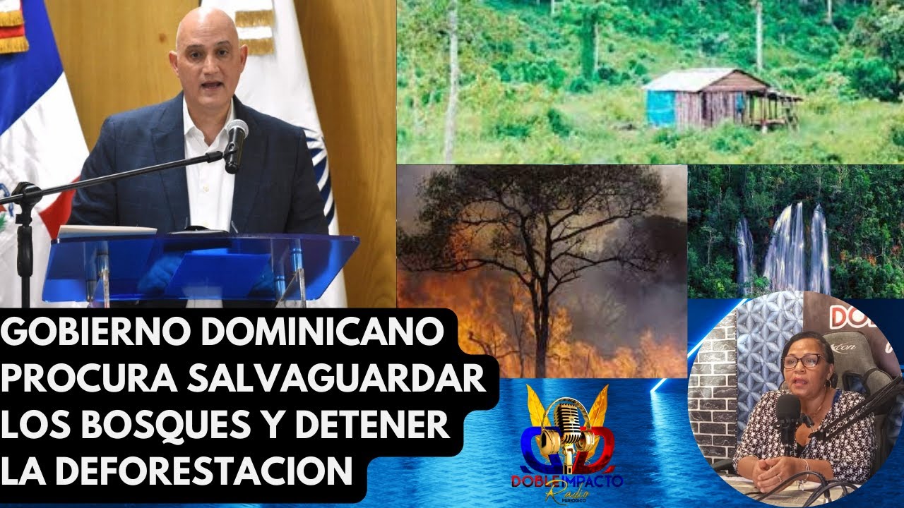 GOBIERNO DE LA REP. DOM INSTA SALVAR BOSQUES Y PARA DEFORESTACION - YouTube