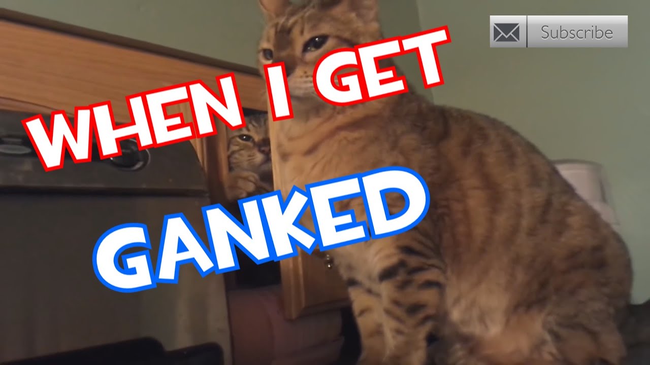 WHEN I GET GANKED - League of legends vine - YouTube