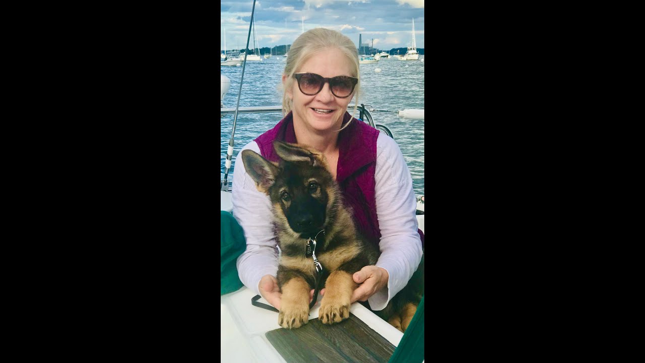 Relationships Matter to Some Dogs! SD 480p - YouTube