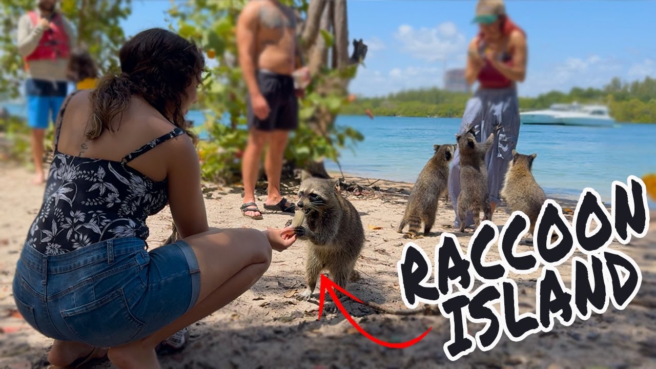 Exploring RACCOON ISLAND in Miami! - YouTube