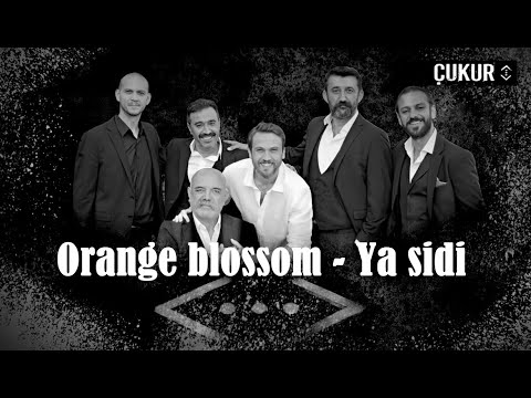Orange blossom - YA SIDI sa prevodom