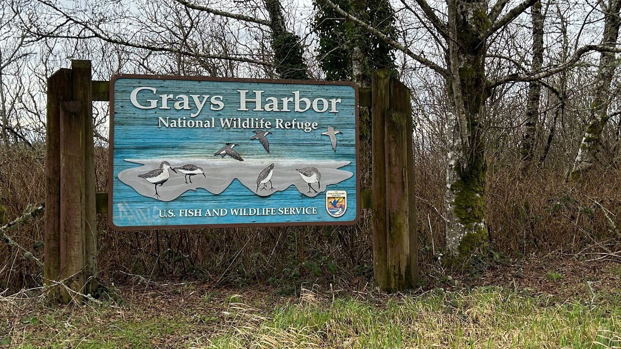 Nature Walk at Grays Harbor National Wildlife Refuge, Hoquiam | Easy 2. ...