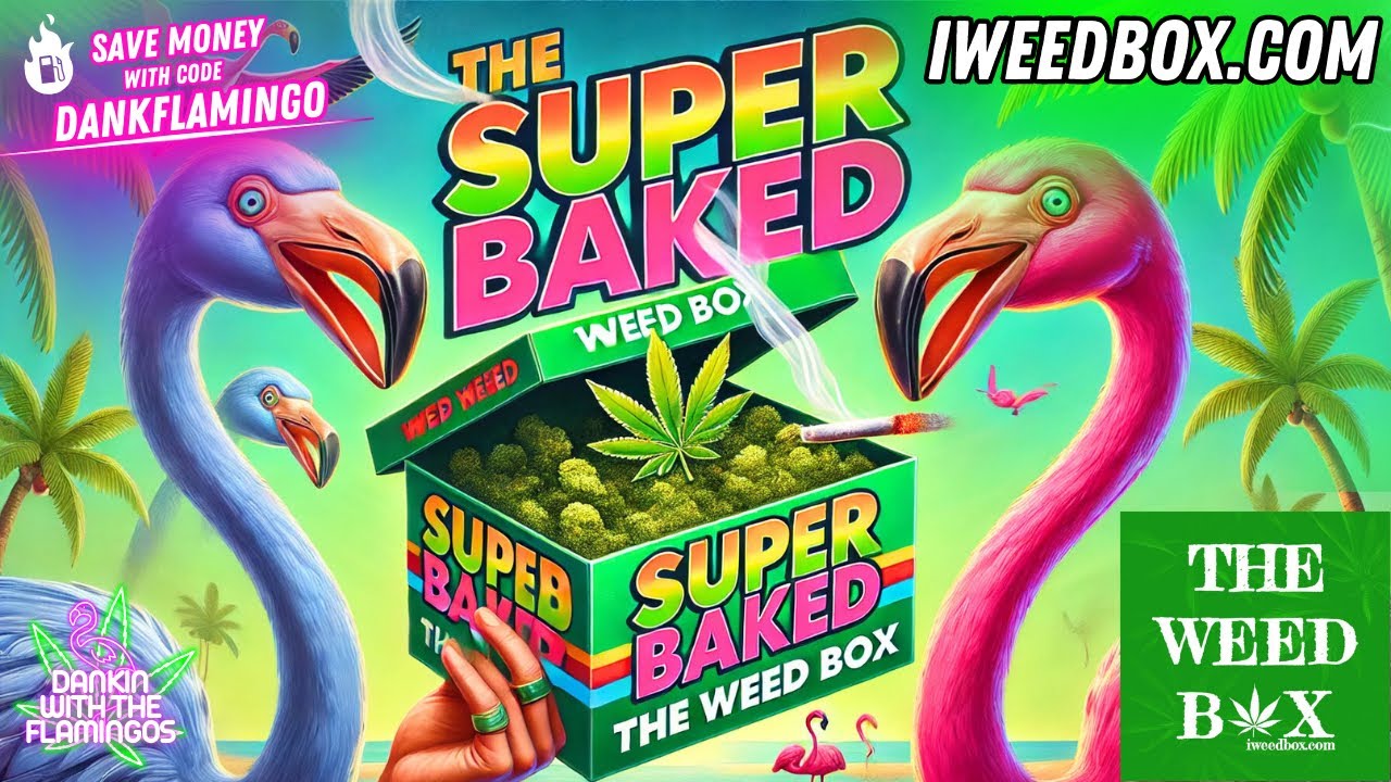 Getting Super Baked with The Weed Box! Dankin with the Flamingos Review ...
