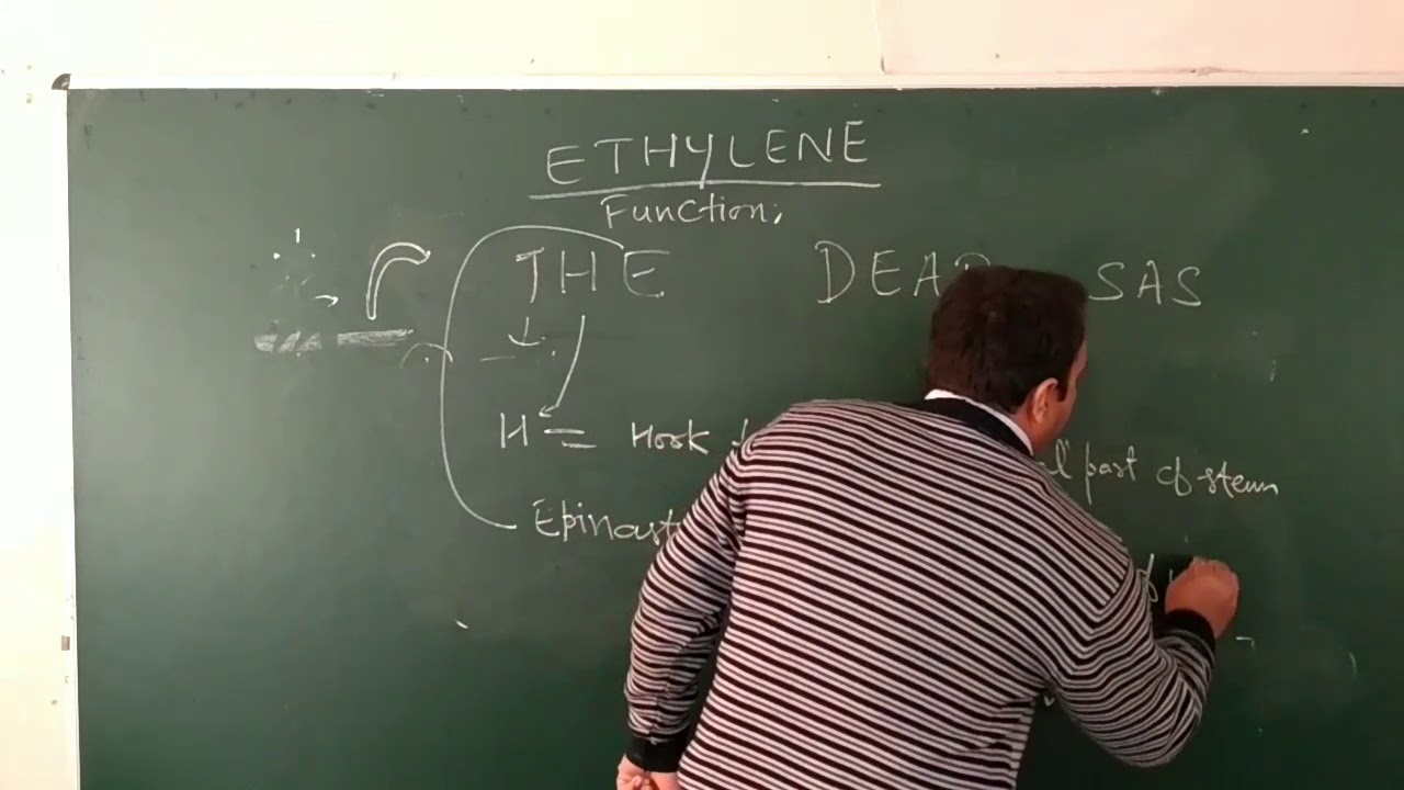 Tricks to remember functions of plant hormone Ethylene - YouTube